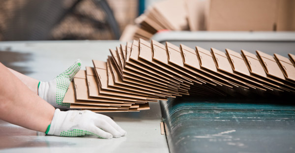 How VPK Group embeds sustainability in its supply chain decisions